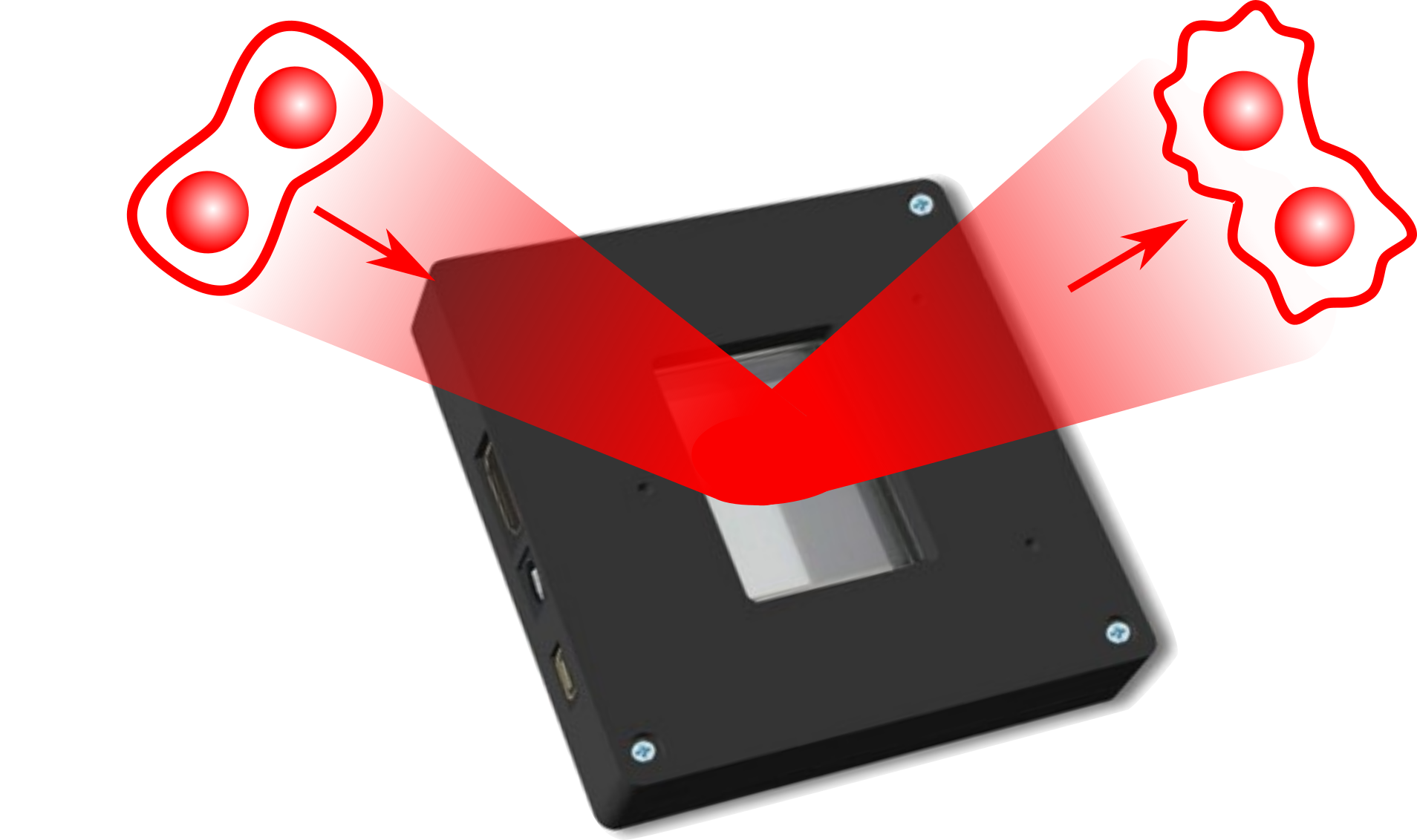 Complex quantum optics